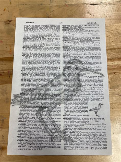 Image result for Dictionary Drawing