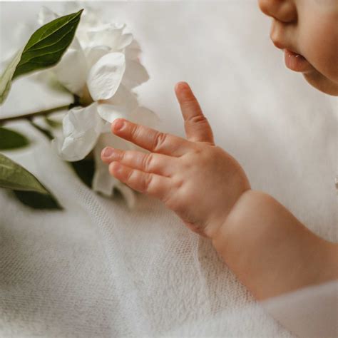 Image result for Top Class Class