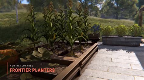 Image result for Barrel Frontier Box Rust