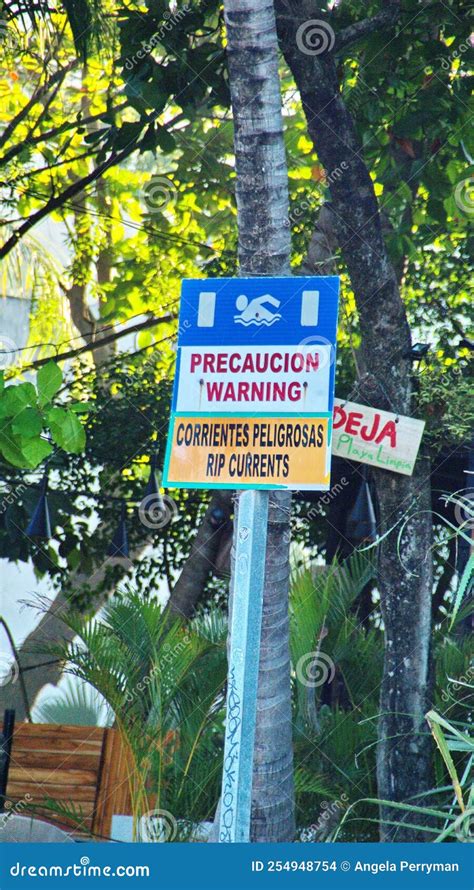 Rip Current Warning Sign on the Beach Stock Photo - Image of tree ...