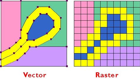 Image result for Similarities Between Raster and Vector Data Models