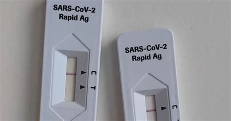 Image result for Self Test Kit