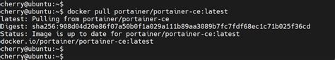 Image result for How to Update Portainer