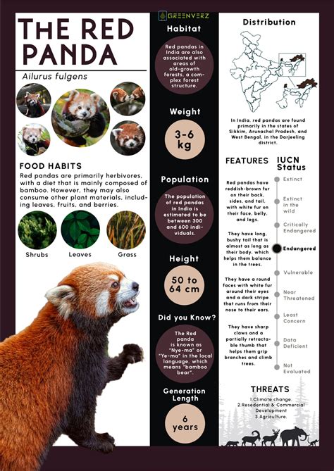 Image result for Red Panda Map