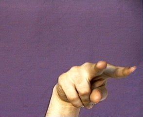Image result for 22 Sign Language