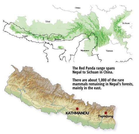 Image result for Red Panda Map