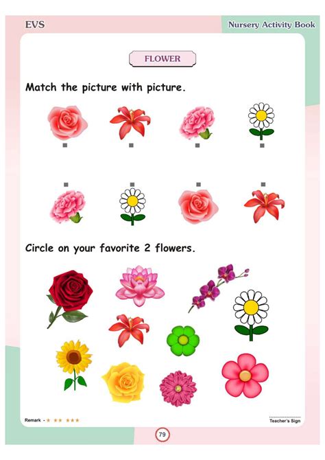 Image result for Activity Book Sample