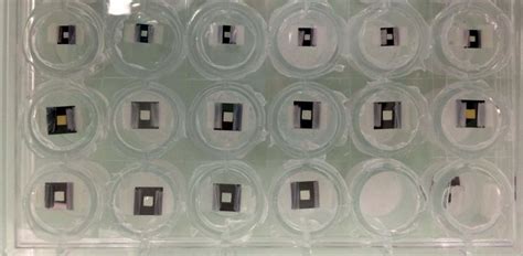 Image result for Crystallization Plate