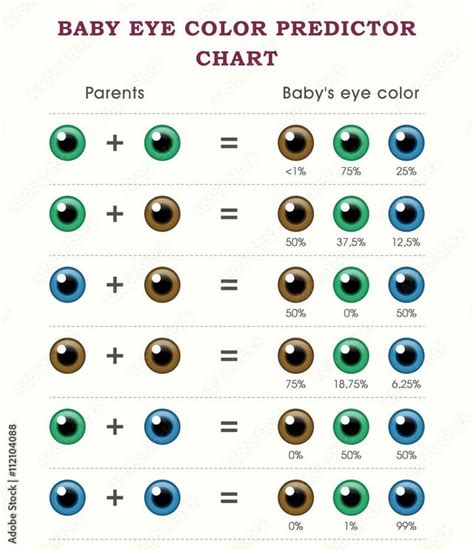 Image result for Punnett Square Explained Eye Color