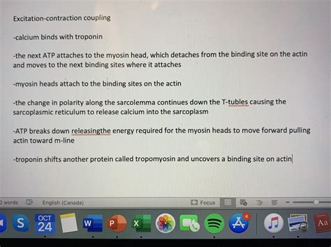Image result for Flowchart of Excitation Contraction Coupling