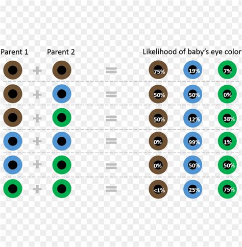 Image result for Eye Color Inheritance Chart