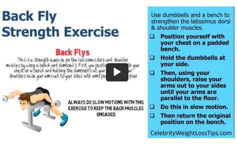 Image result for Back Fly Exercise