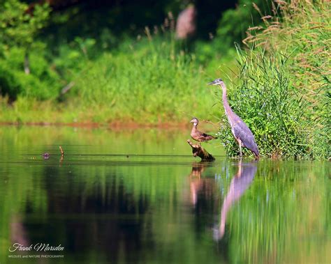 Image result for Excursion Meaning