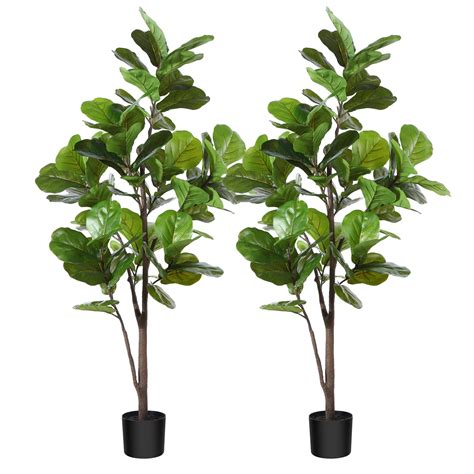 Image result for Fake Fiddle Fig Tree