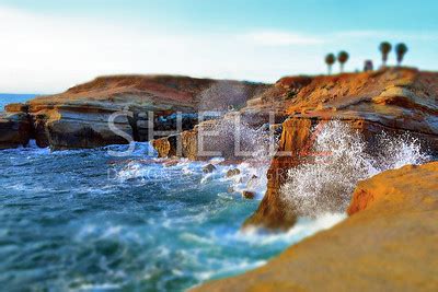 Image result for Shellz Photography