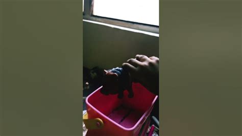 Image result for Simbas Nightmare Reactions