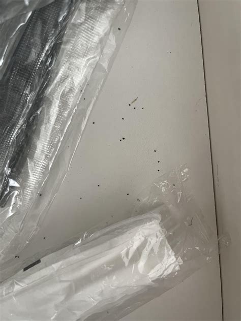 Image result for Cockroach Droppings