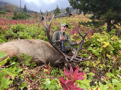 Image result for Vortex Razor HD