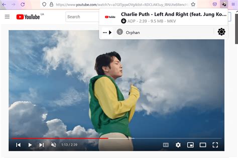 Image result for Video DownloadHelper Firefox Addon