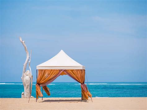 Image result for Instant Canopy Set Up