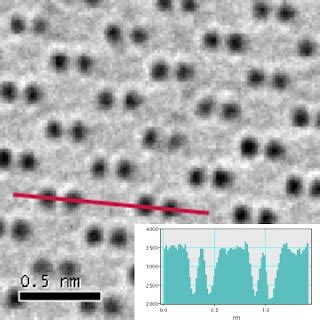 Image result for Most Powerful Microscope