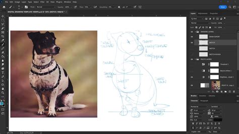 Image result for Animation Illustrator Tutorial