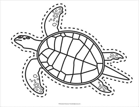 Image result for Sea Turtle PrintOut