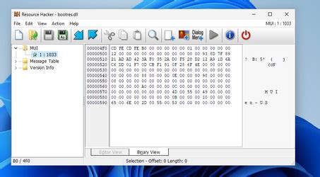 Image result for Custom Boot Windows