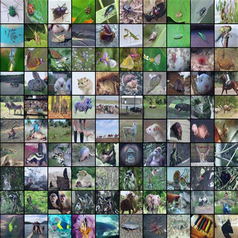 Image result for ImageNet Dataset