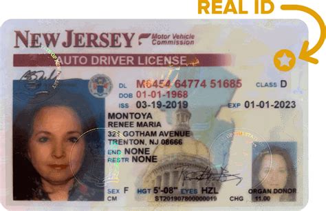 Image result for How to Find Drivers License
