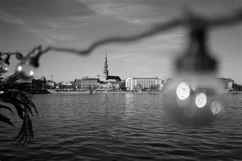 Image result for Depth of Field Photography Examples