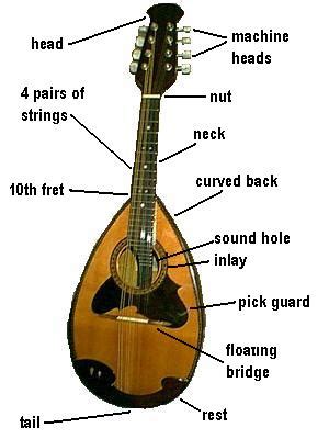 Image result for Standard Mandolin Tuning Chart