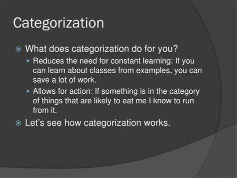 Image result for Categorization Program Sample