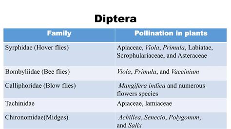 Image result for Types of Insect Pollinators