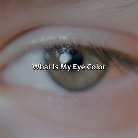 Image result for Eye Color Check