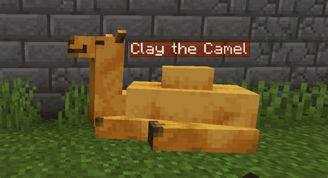 Image result for Minecraft Curios Server IP