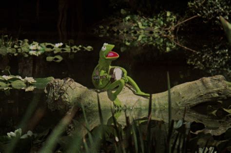 Image result for Muppets Rainbow Connection