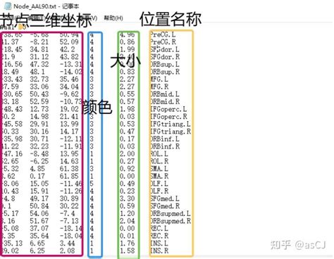 Image result for BrainNet Viewer Mapping File English