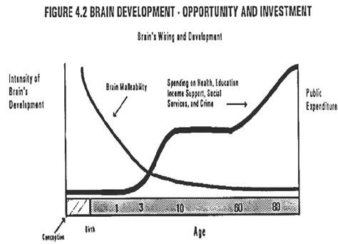 Image result for Bruce Perry Learning Brain