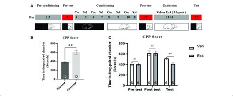 Image result for EX4 Protection
