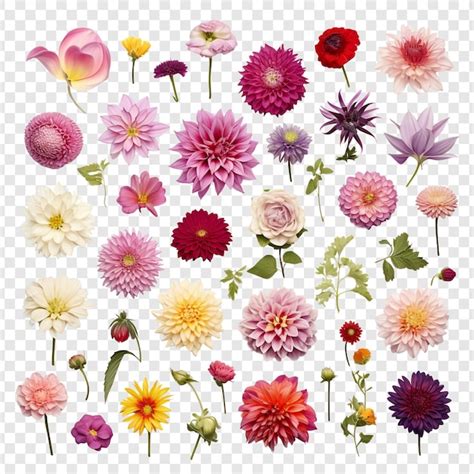 Image result for Flower Craft Different Types