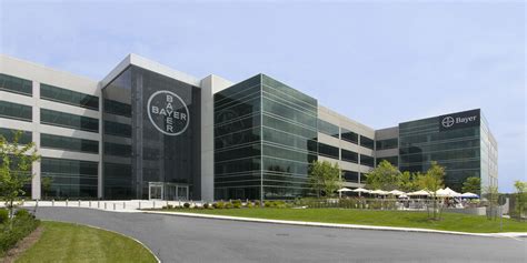 Image result for Bayer Life Values