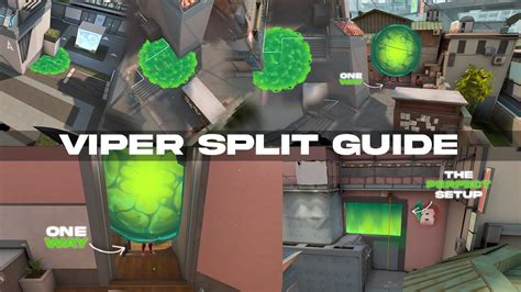 Image result for Split Viper Tips