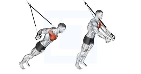 Image result for Banded Chest Fly Exercise