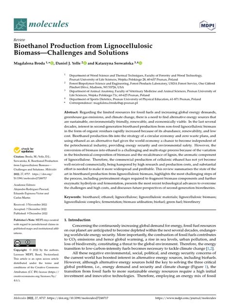 Image result for Bioethanol Logs