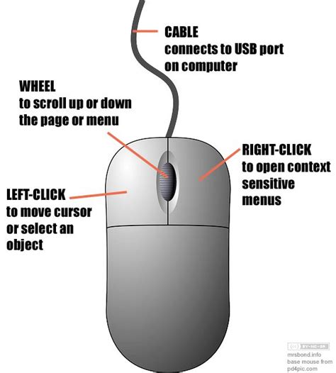 Image result for Computer Mouse Label