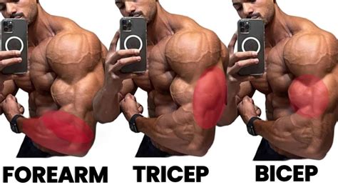Image result for Arm Exercise Routine