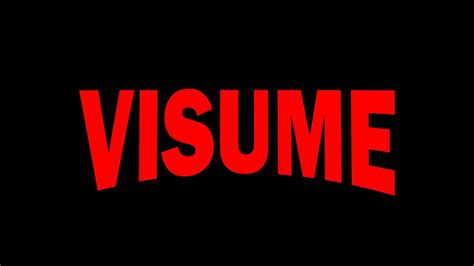 Image result for Visume Example