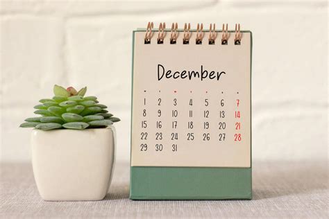 Image result for Daily Notes