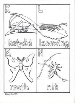Image result for Read Aloud Insect Alphabet Book